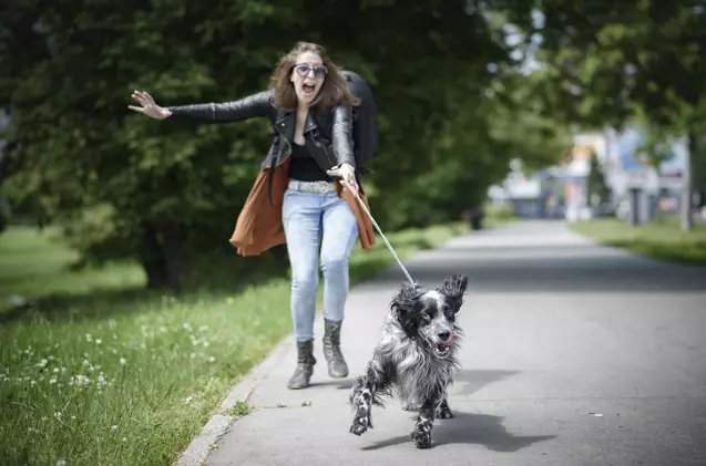 Hvordan stoppe hunden din fra å trekke under turer 10029_1