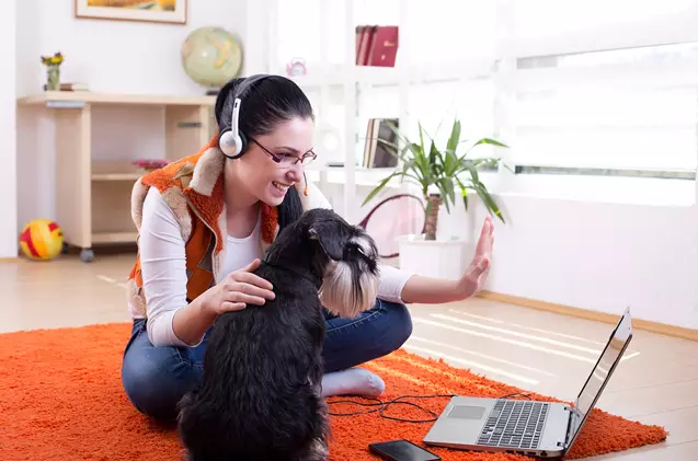 Este colegiul momentul potrivit pentru a obține un nou animal de companie? 10157_1