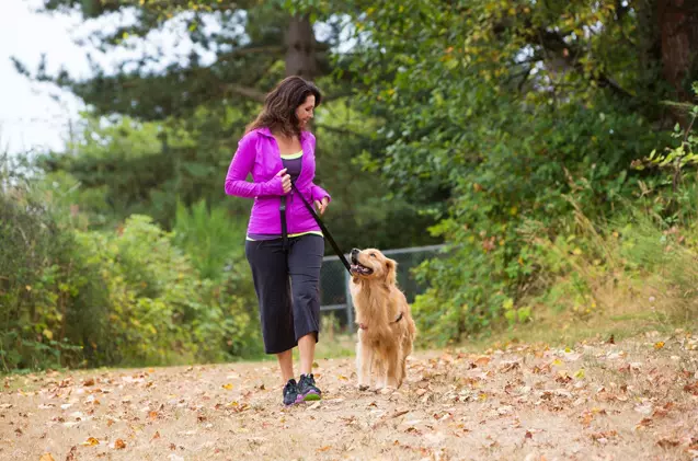 Արդյո՞ք Dog Walkers-ը նոր հանցագործություն կատարողներն են: 10249_1