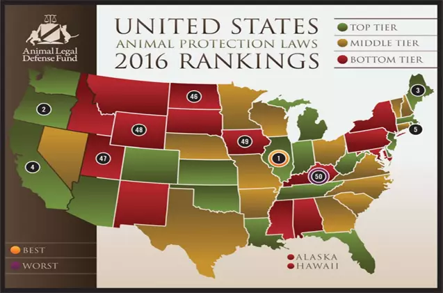 Rapporto: Stati Uniti migliori e peggiori per le leggi sulla protezione degli animali 10303_1