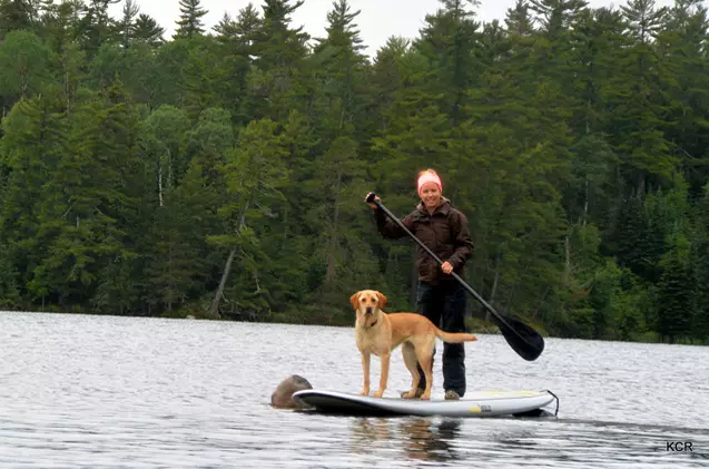 SUP. Stand Up Paddle Boarding with Your Dog 10436_1