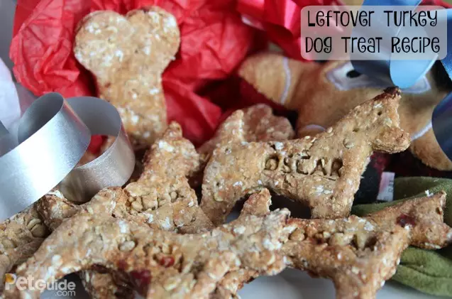 Overgebleven Turkije Dog Treat Recept 10539_1