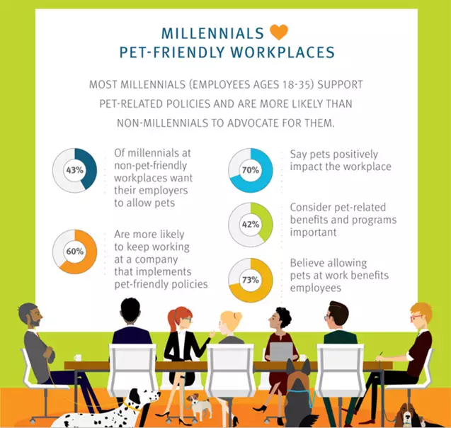 Millenials ចង់បាន Pet Perks នៅកន្លែងធ្វើការ