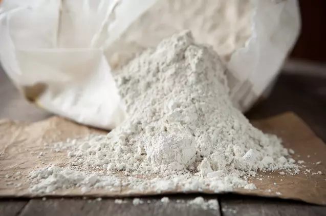 Uru nke Ụwa Diatomaceous maka Nkịta 10639_1