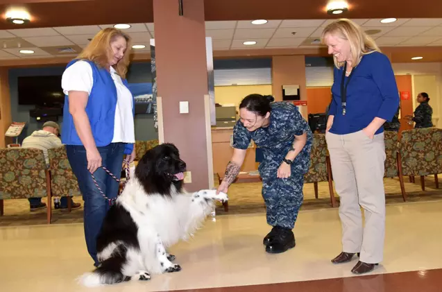 I-American Red Cross Pet Therapy Dogs Vakashela I-Navy 11402_1