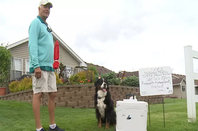 Hond duikt naar golfballen om geld in te zamelen voor dakloze dieren 11569_1