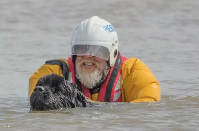 I cani diventano bagnini per la spiaggia di Hornsea, nel Regno Unito 11633_1