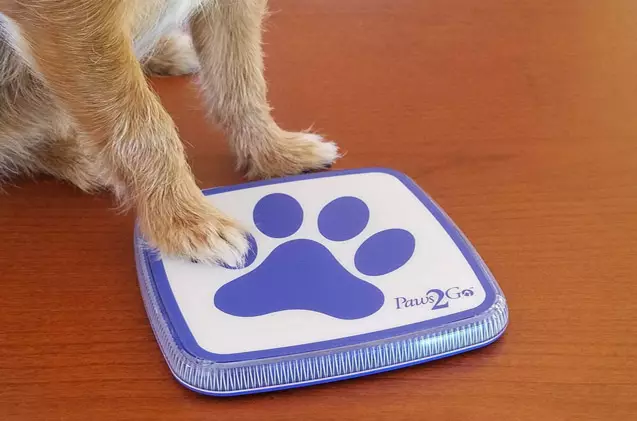 Sistema di addestramento del vasino Paws2Go