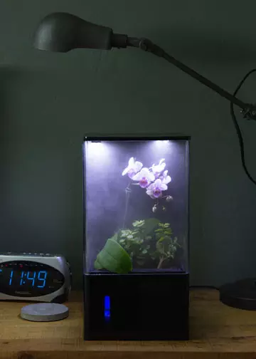 EcoQube Air 1