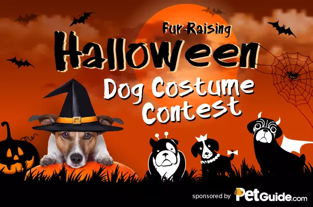 PetGuide Pêşbaziyek Cilûbergên Halloween-ê yên Fur-Raising Sponsor dike 11756_1