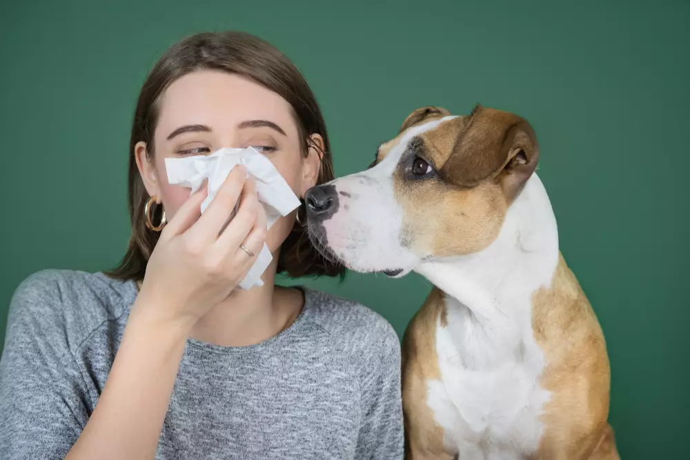 C'è un potenziale vaccino contro l'allergia ai cani all'orizzonte?