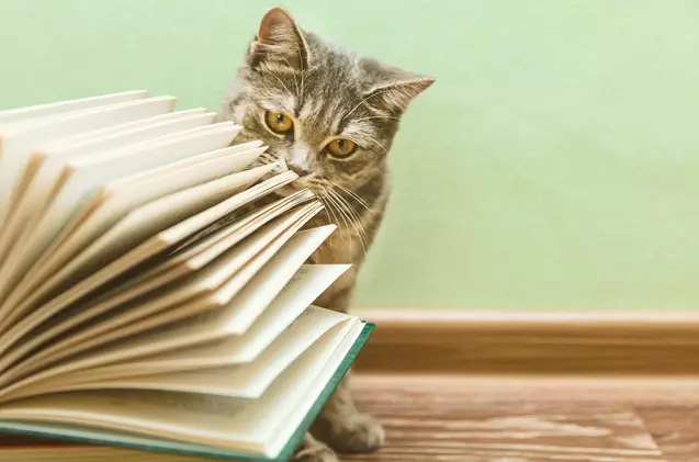 Top 10 des livres essentiels pour les nouveaux propriétaires de chats 12258_1