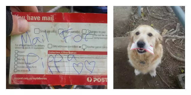 Ang Espesyal nga Paghatud sa Postal Carrier Naglakip sa Personalized Pooch Mail 12336_1