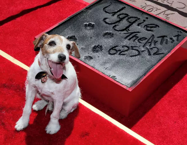 Uggie