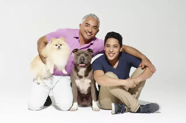 Snout to Snout: Hỏi và đáp với Ngôi sao Cesar Millan của “Dog Nation” 12730_1