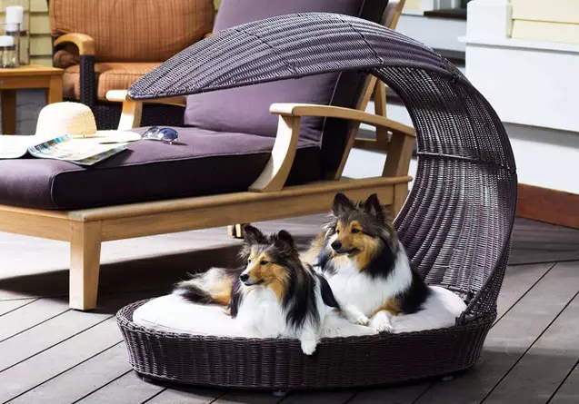 Wurin Lantarki Na Waje Dog Chaise Lounge