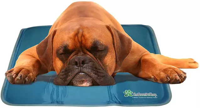 thegreenpetshop-Cool Pet Pad