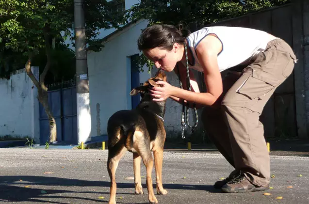 Doação da Bayer ajuda vítimas de violência doméstica e animais de estimação a permanecerem juntos 12905_1