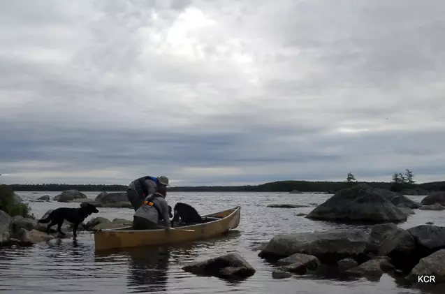 Ny nataoko tamin'ity fahavaratra ity: Adventure Canine Canoe ao Nova Scotia Fizarana 2 12921_1