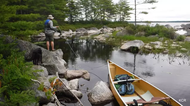 Ny nataoko tamin'ity fahavaratra ity: Adventure Canine Canoe ao Nova Scotia Fizarana 2 12921_2