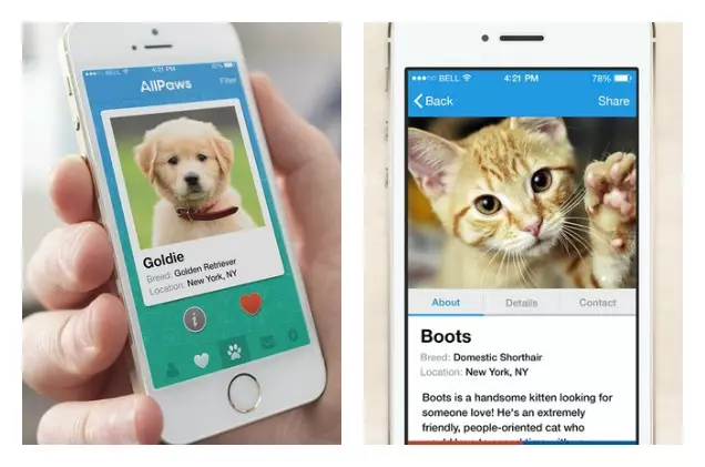 Die AllPaws-App möchte Ihnen helfen, Ihr perfektes Haustier zu finden 12971_1