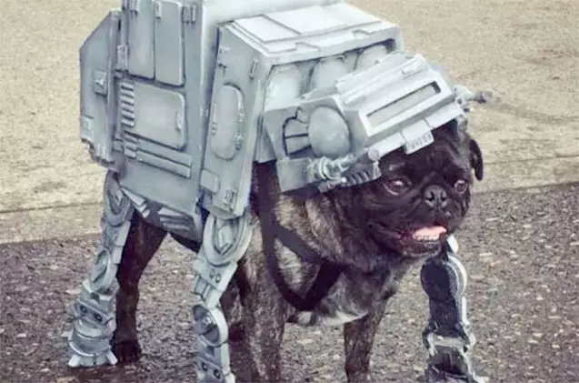 2starwarspugs