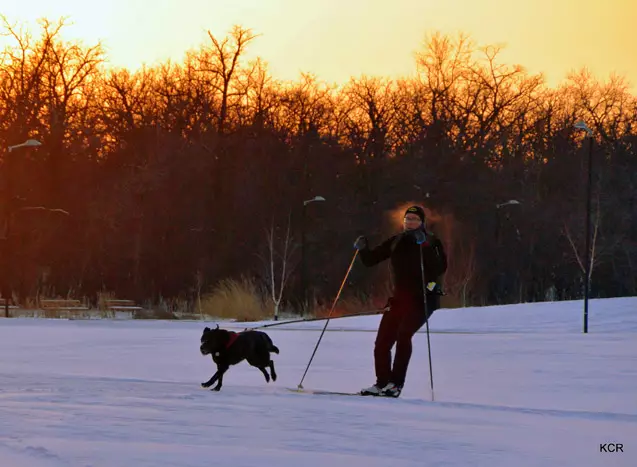 Wësst Dir de beschte Schnéi fir Skijoring? 13128_2