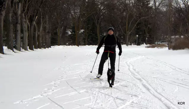 Wësst Dir de beschte Schnéi fir Skijoring? 13128_3