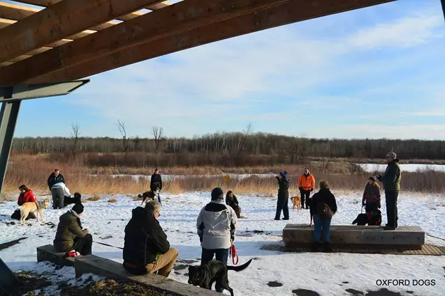 birni-mushing-mai koyarwa-1