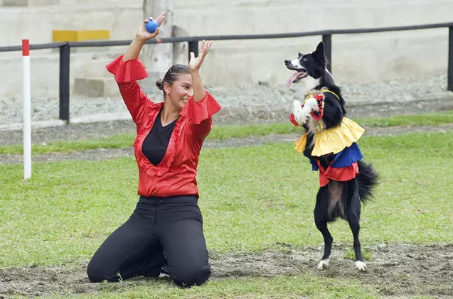 Paso hasta el baile del perro 13152_1