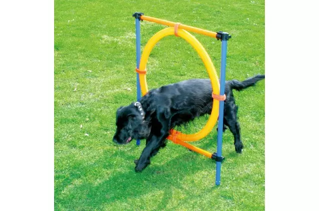 Top 10 Dog Workout Products fun Workout Woofs 13198_3