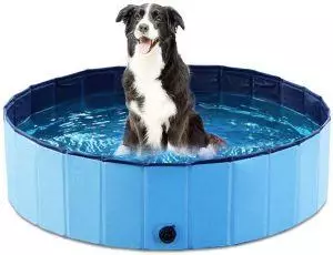 Meilleures piscines pour chiens 13228_3