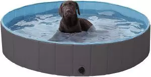 Meilleures piscines pour chiens 13228_5