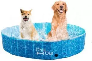 Meilleures piscines pour chiens 13228_7