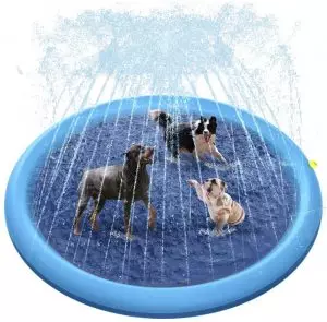 Meilleures piscines pour chiens 13228_8