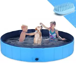 Meilleures piscines pour chiens 13228_9