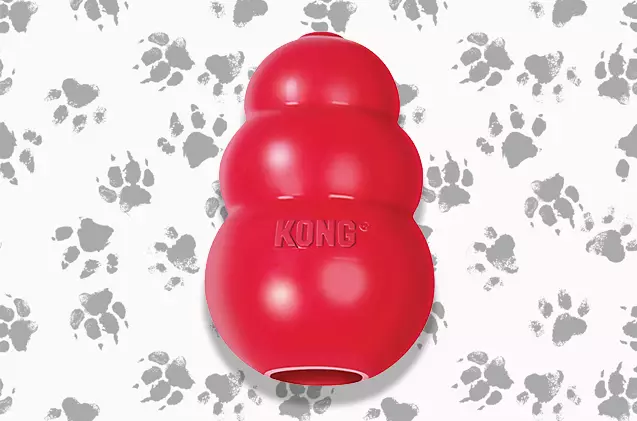 Kong Classic kwa ukubwa kwenye mandharinyuma ya paw-print