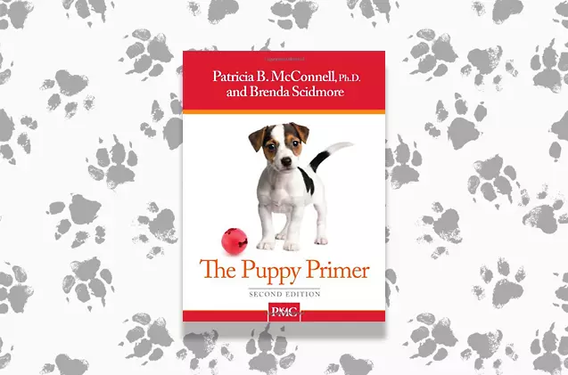 Puppy Primer avtoric Patricie B. McConnell in Brenda Scidmore v mehki vezavi na ozadju z odtisom tace