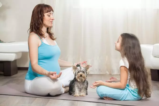 Os benefícios da meditação canina 1370_1