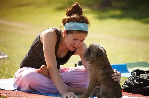 Nama-stay! Doga mang đến cho yoga một lớp trang điểm đầy lông 1371_1