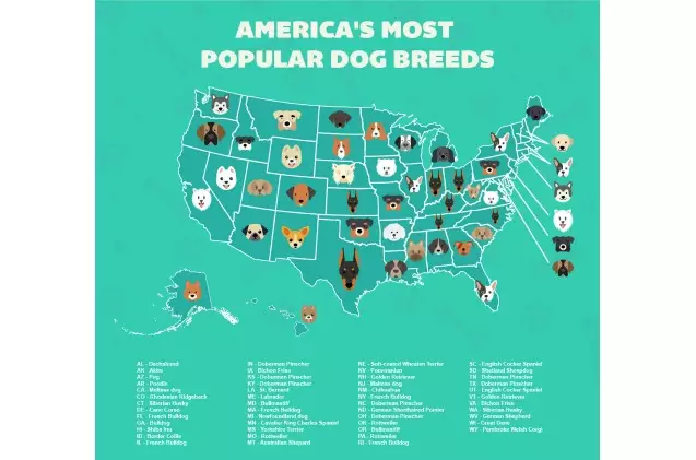 Los mejores perros estado por estado según las búsquedas en Internet en este mapa