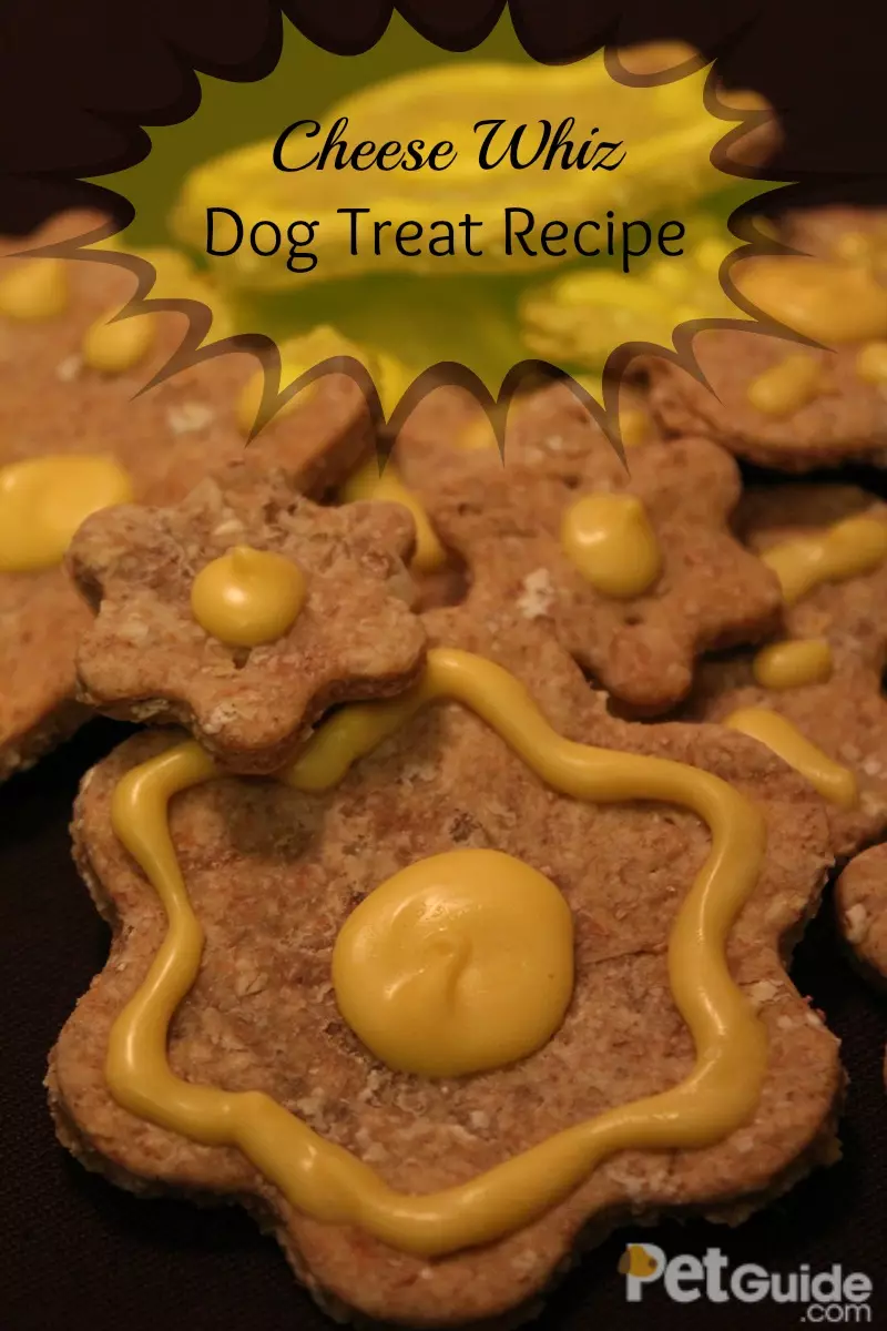 Quando si tratta di formaggio, i cani non ne hanno mai abbastanza. Soddisfa quelle voglie con la ricetta Cheese Whiz Dog Treat.