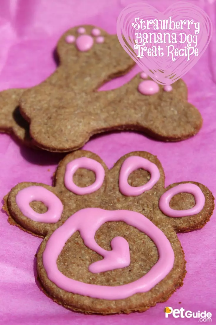 Ingin membuat anjing Anda senang? Panggang setumpuk Strawberry Banana Dog Treats!