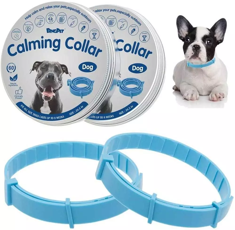 Los mejores collares calmantes para perros 14528_5