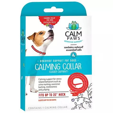 Los mejores collares calmantes para perros 14528_6