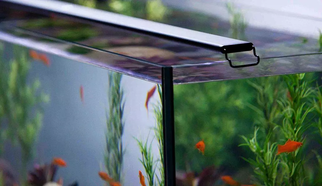 Rafitra jiro LED Aquarium tsara indrindra 14896_10