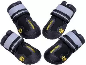 Pinakamahusay na Dog Paw Protector 14899_11