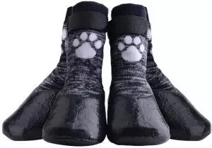 Baştirîn Pawlos Paw Dog 14899_7