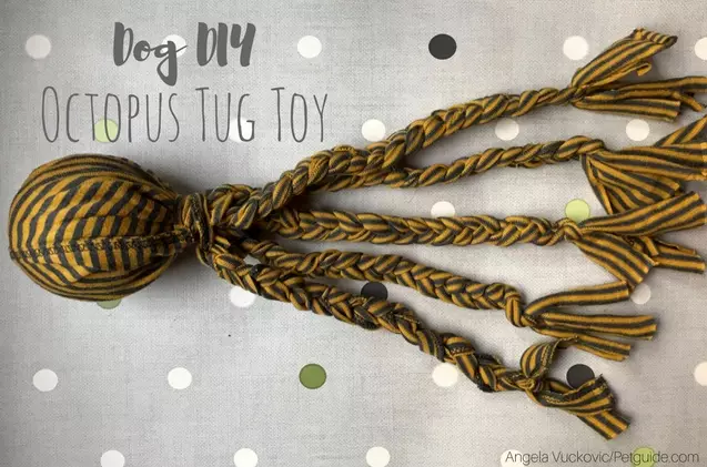 DIY Octopus Tug Toy fun Awọn aja 14915_1