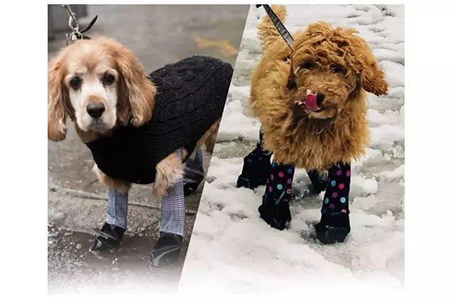 Estas polainas para mascotas Walkee mantienen calientes las piernas de los perros